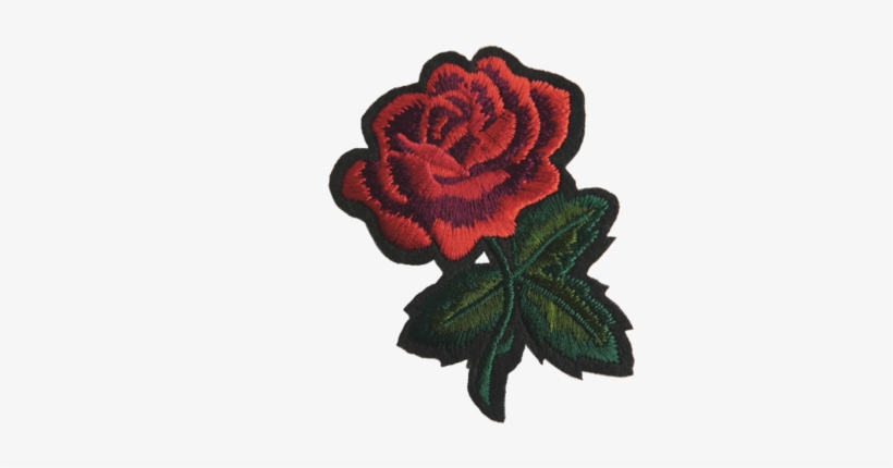 Rose Patch Png - Garden Roses - 685x1024 PNG Download - PNGkit