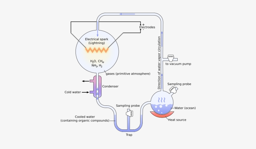 Miller Urey Experiment Diagram - 450x419 PNG Download - PNGkit