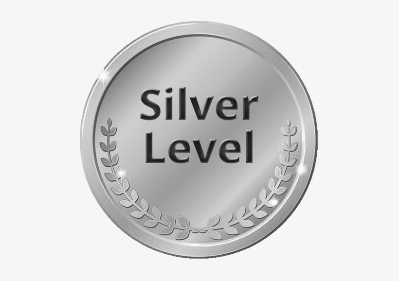 Silver Level - 498x498 PNG Download - PNGkit