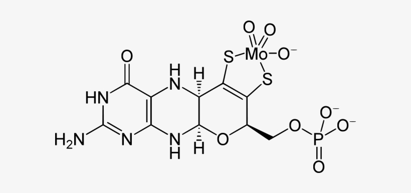 Download Transparent This - Chemical Structure Of Molybdenum - PNGkit
