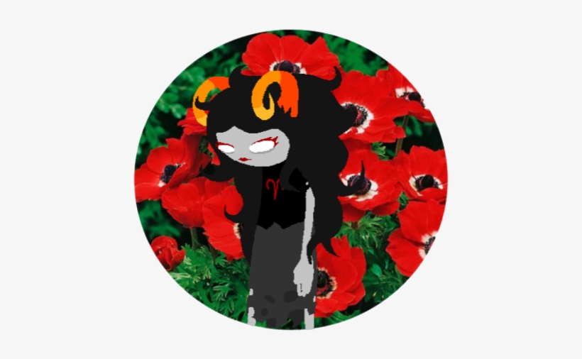 Homestuck Characters As Flowers - Anemoon - Hollandia - 2x50 Stuks ...