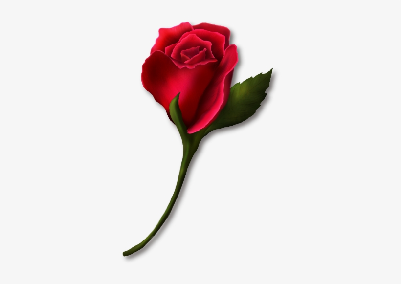Red Rose Bud Painted Clipart - Rose Bud Clip Art - 328x501 PNG Download ...