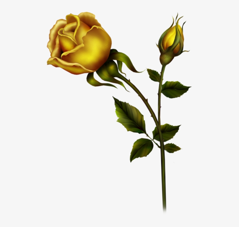 Yellow Rose With Bud Png Clipart - Rose Buds Clip Art - 428x600 PNG ...