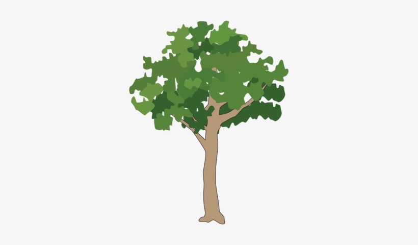 Free Icons Png - Rainforest Tree Vector Png - 313x400 PNG Download - PNGkit