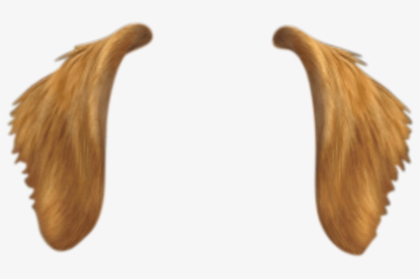 Download Transparent Filters Swap Effects Pic For Snapchat Messages ...