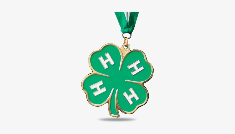 4 H Series - Shamrock - 300x400 PNG Download - PNGkit