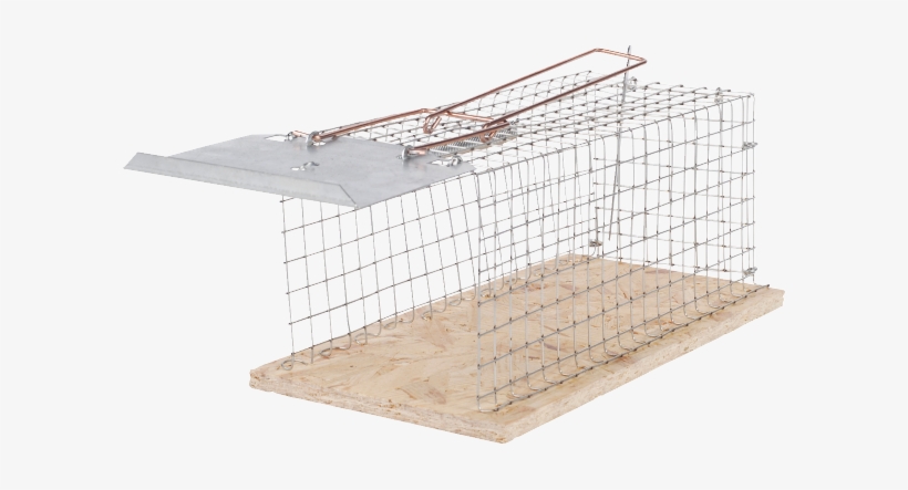 Wire Cage - Mouse Trap - Cage Mouse Trap Png - 600x363 PNG Download ...