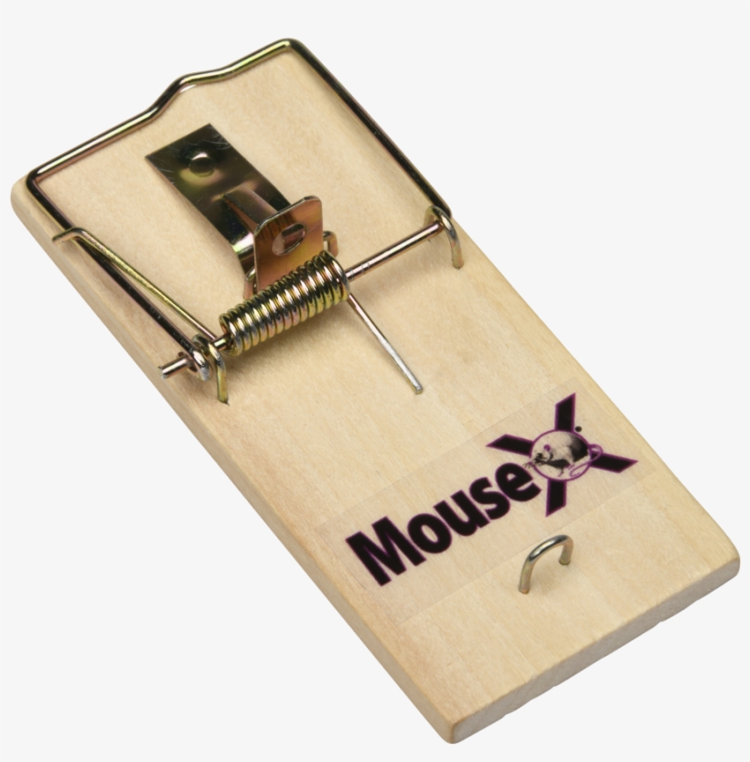 Mousex Wood Traps - Chamfer Plane - 1000x1038 PNG Download - PNGkit