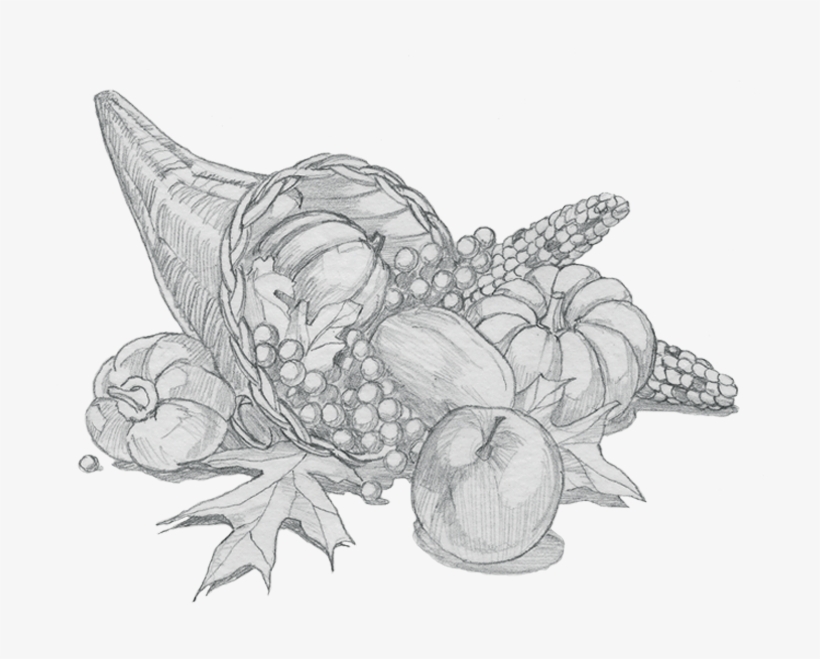 Cornucopia Sketch - Google Search - Cornucopia Sketch Png - 708x579 PNG ...