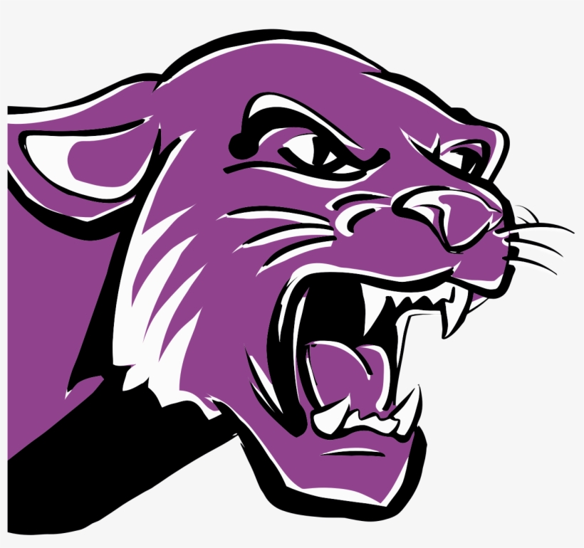 Panther-trans - 1920x1200 PNG Download - PNGkit