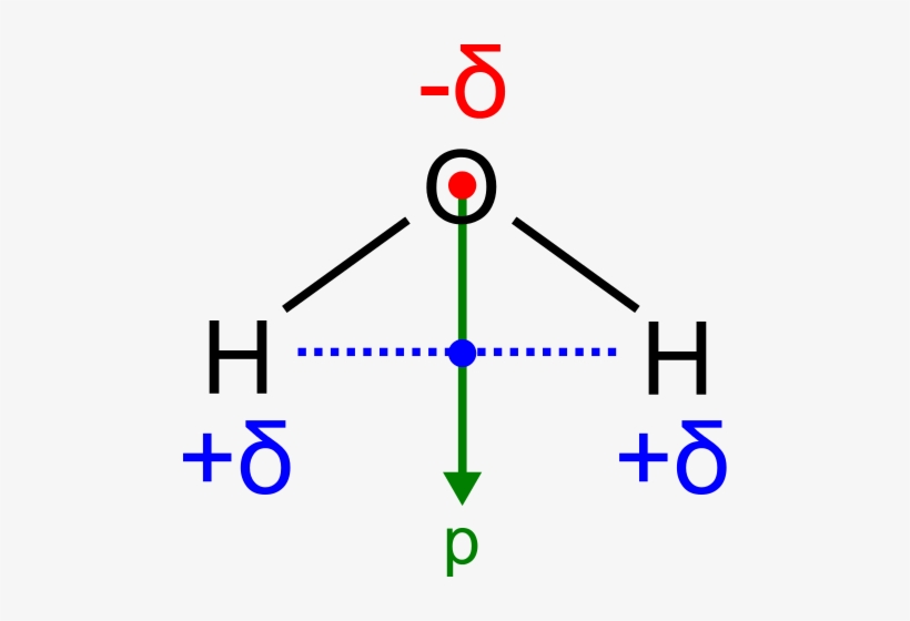 Dipole Moment Of A Water Molecule - Water Dipole - 490x480 PNG Download ...
