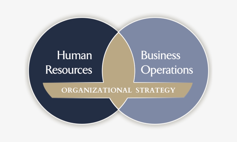 Human Resource And Organizational Development - 650x411 PNG Download ...