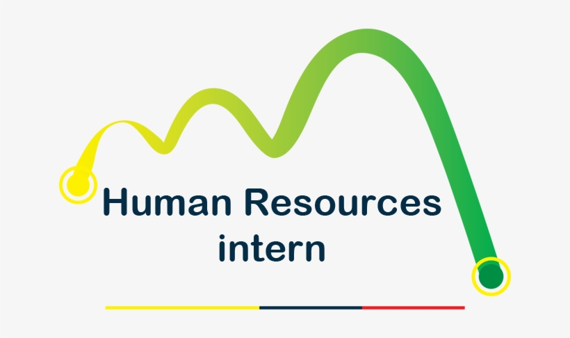 Human Resources Intern - Internship - 650x424 PNG Download - PNGkit