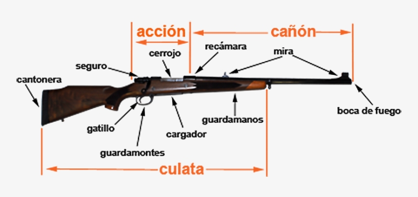 Partes De Una Escopeta - Partes De Una Carabina - 768x328 PNG Download ...