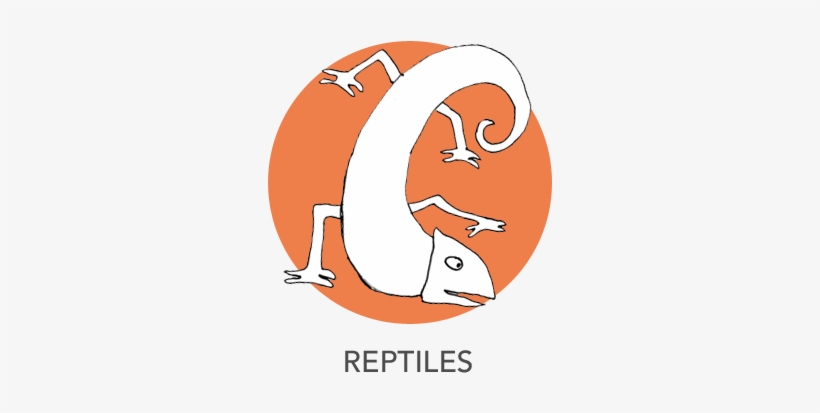 Search - Drawing - 400x400 PNG Download - PNGkit