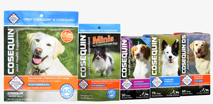 Cosequin® Joint Health Supplements Are Specifically - Cosequin Standard ...