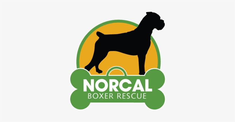 Norcal Boxer Rescue - Northern California - 360x360 PNG Download - PNGkit