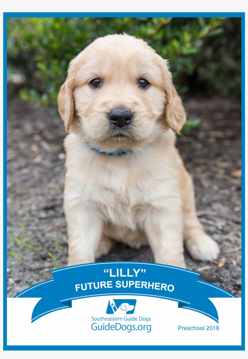 Southeastern Guide Dogs - 2255x2255 PNG Download - PNGkit