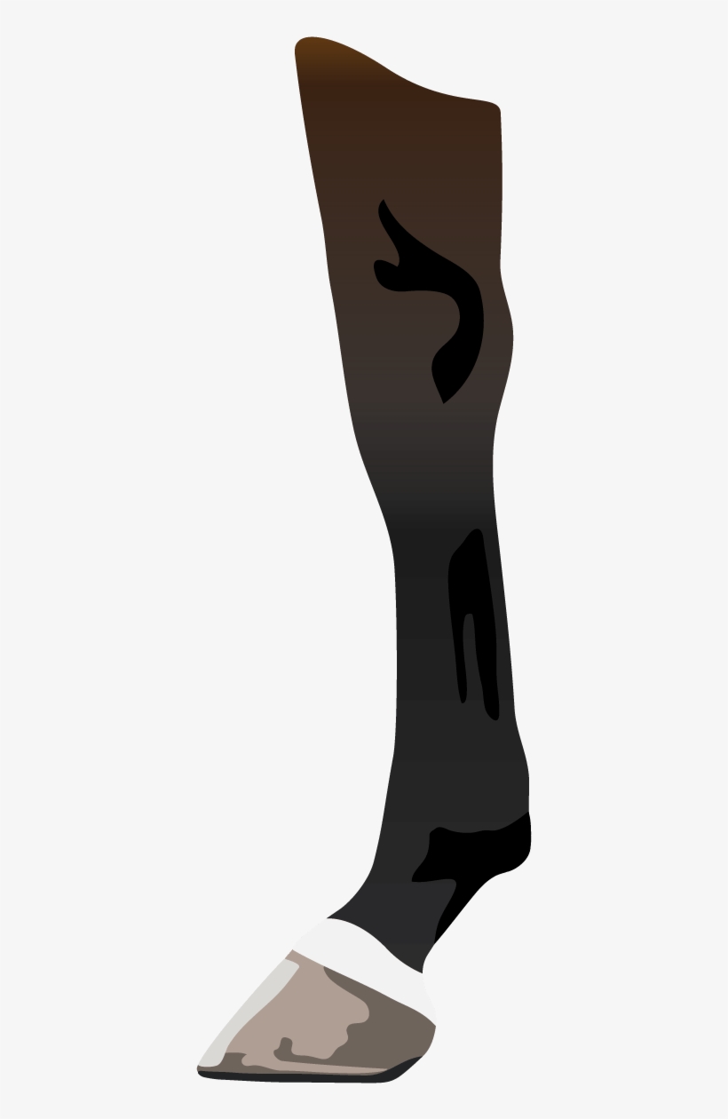 Coronet Marking - Illustration - 1800x1400 PNG Download - PNGkit