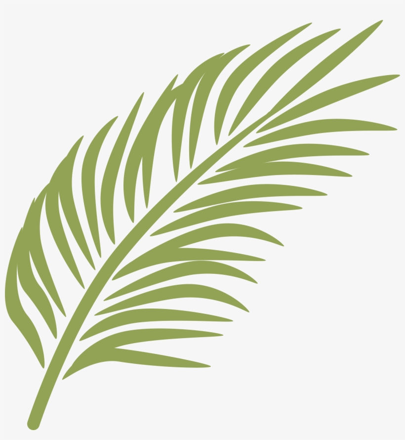 Palm Frond Png - Palm Leaves Clip Art Png - 2550x2646 PNG Download - PNGkit