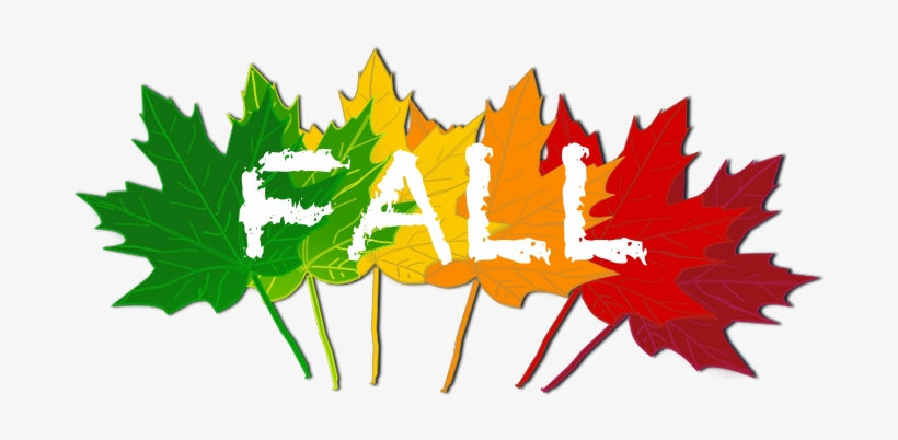 Fall - Leaves Change Color Clipart - 700x352 PNG Download - PNGkit