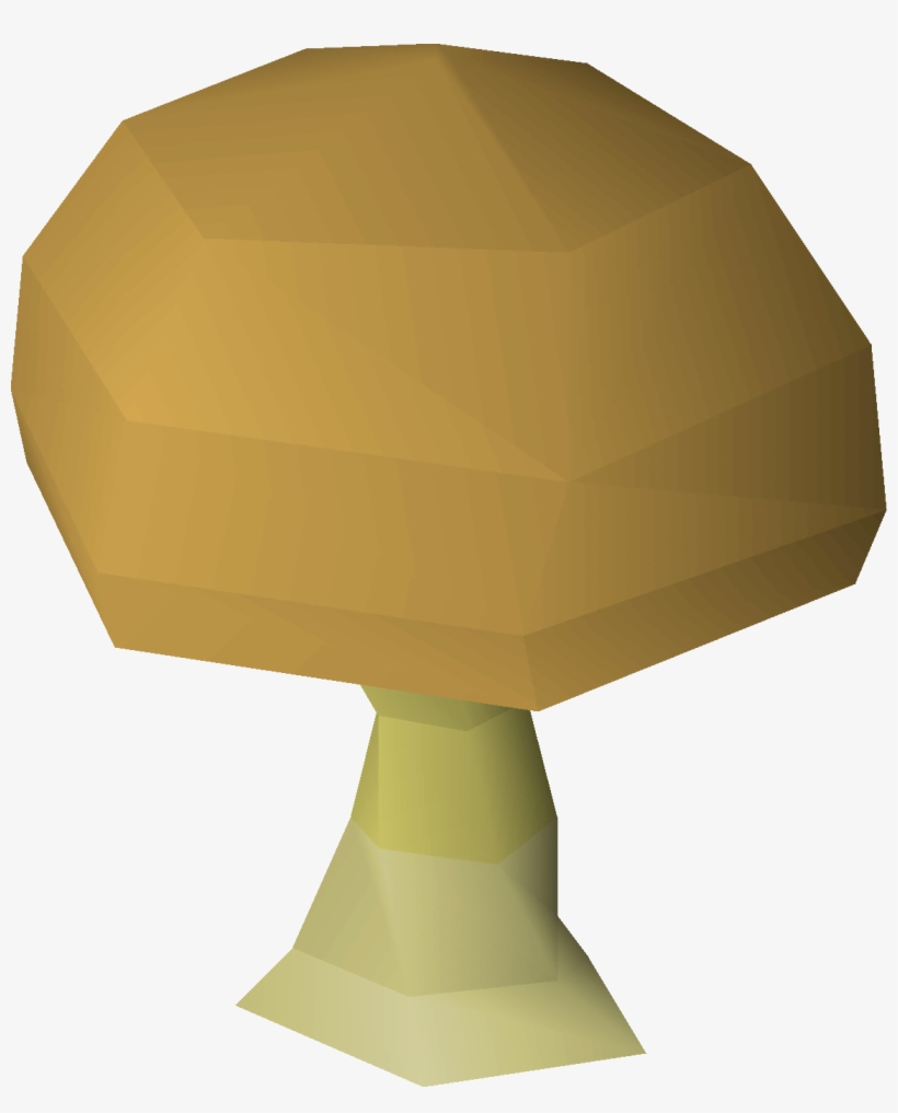 Wiki - 1144x1364 PNG Download - PNGkit