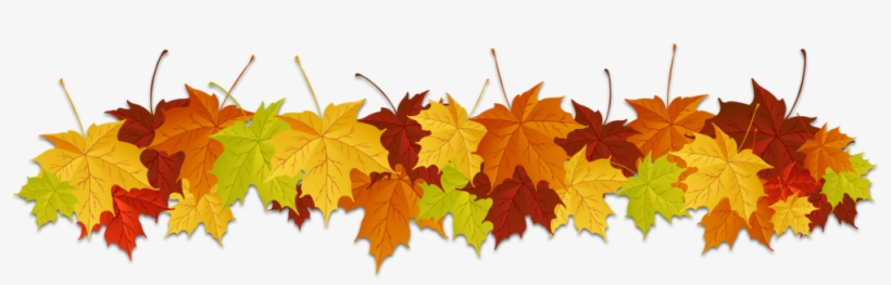 Leaves Top Border - Maple Leaf - 1000x272 PNG Download - PNGkit