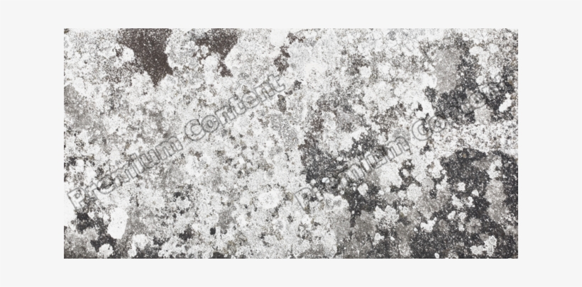 Environment Textures Show Photos - Wall Stain Png Transparent - 640x325 ...