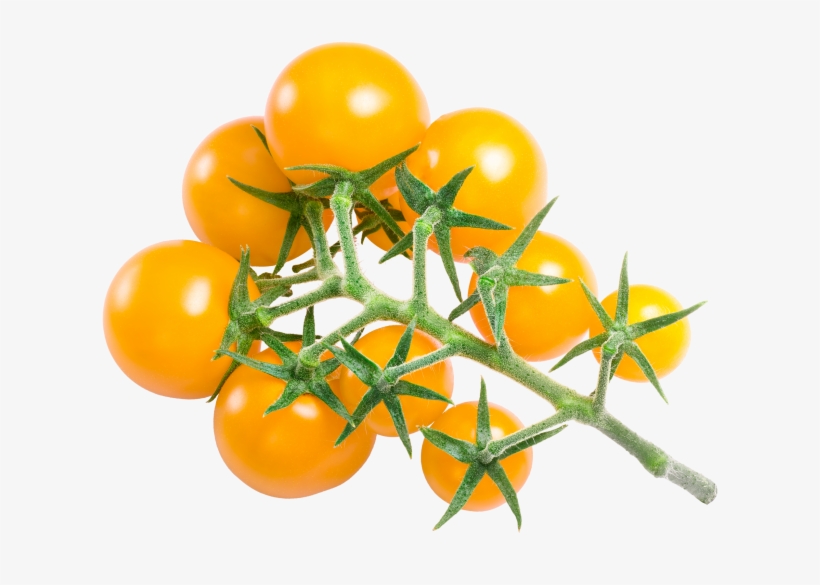 Yellow Cherry Tomatoes - Clipping Path - 866x650 PNG Download - PNGkit