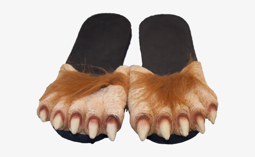 14321 Werewolf Feet - Large Werewolf Feet - 600x444 PNG Download - PNGkit