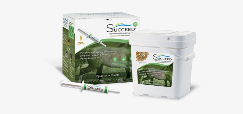 Monday Myths - - Horse - 671x355 PNG Download - PNGkit