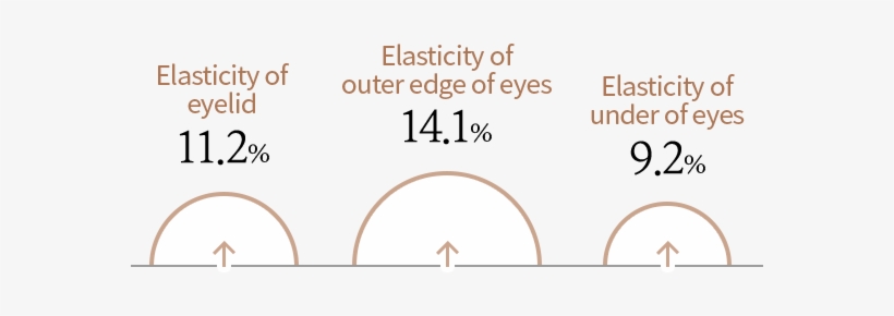 Download Transparent [improving Elasticity] - Circle - PNGkit