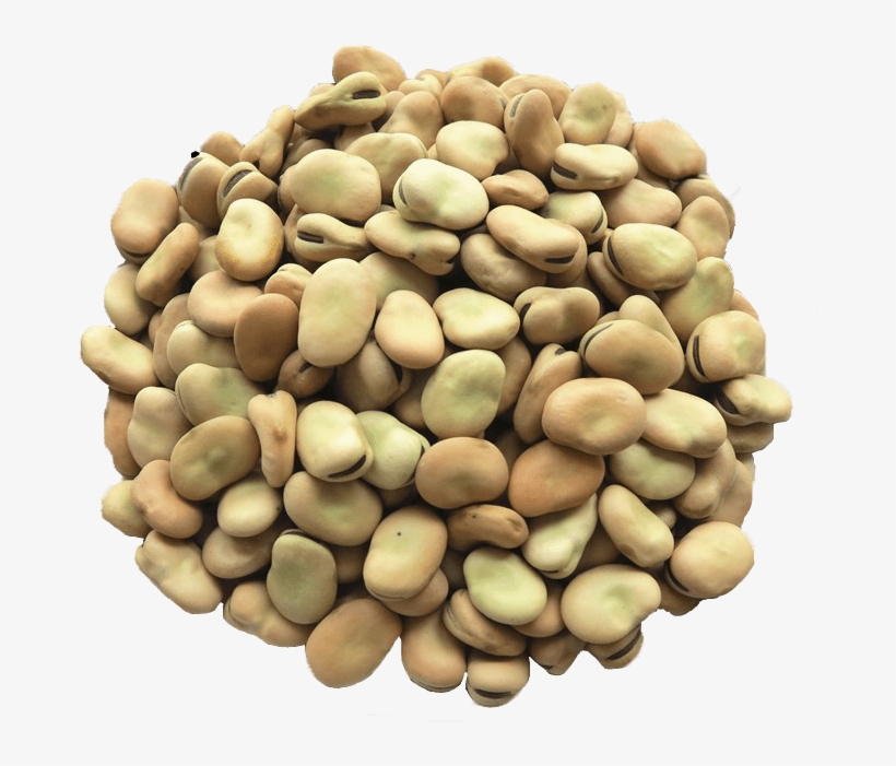 Fava Beans - Food To Live Organic Fava Beans - 800x800 PNG Download ...