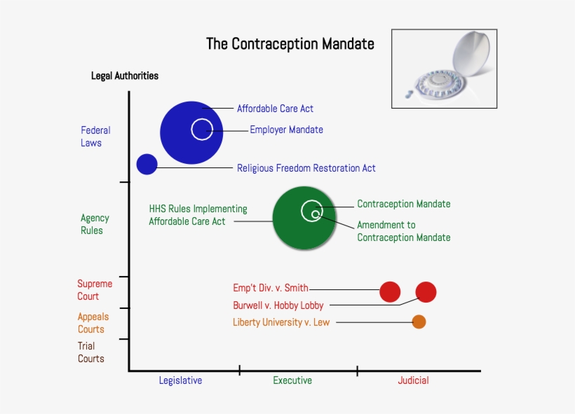 Contraception Mandate Graph - Circle - 640x640 PNG Download - PNGkit