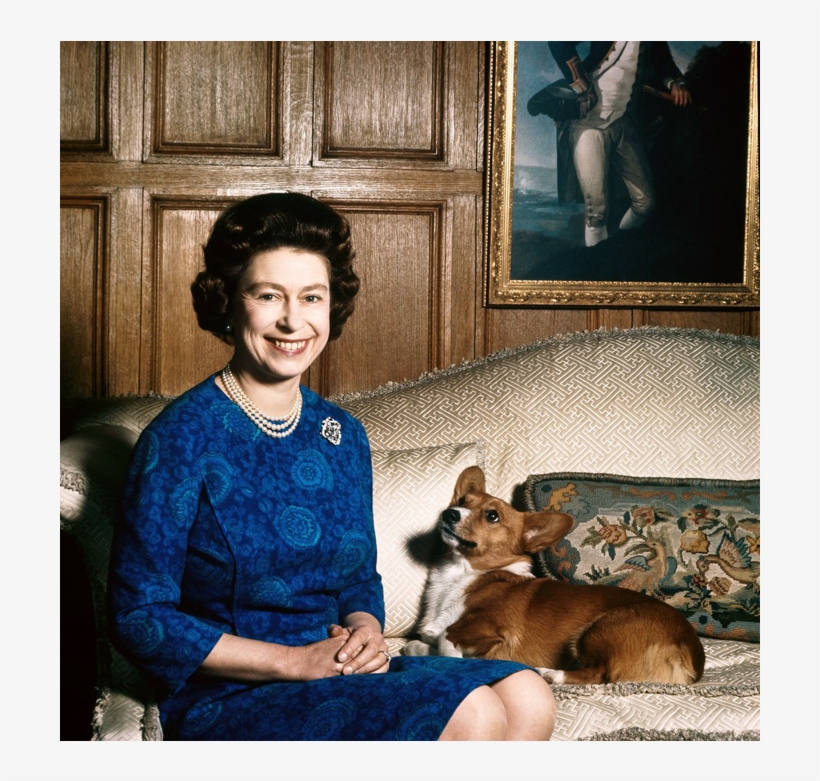 The Last Corgi For A Queen - Queen Elizabeth Ii Corgi - 800x800 PNG ...