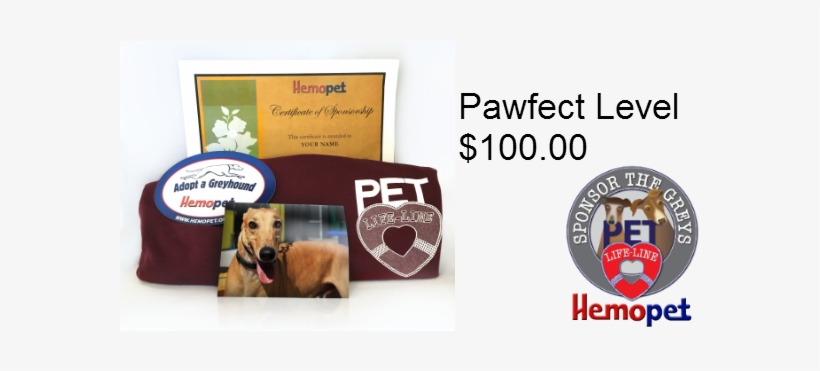 Hemopet - 600x300 PNG Download - PNGkit