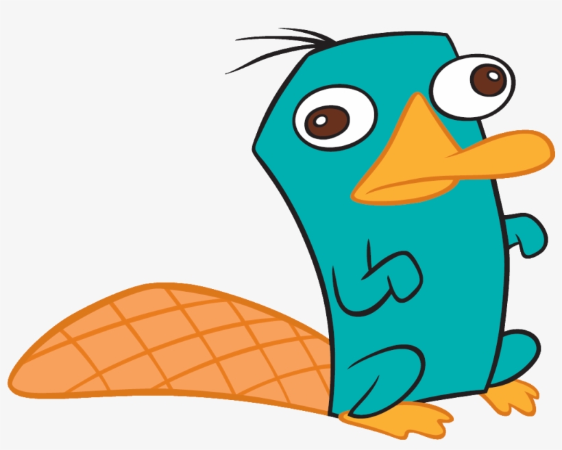 Perry The Platypus - 1138x759 PNG Download - PNGkit