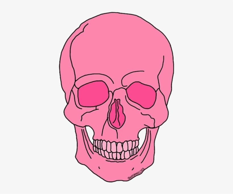 Skull Png Tumblr - Skull Image Overlay - 500x627 PNG Download - PNGkit