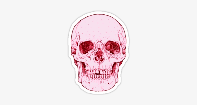 Pink Skulls Tumblr