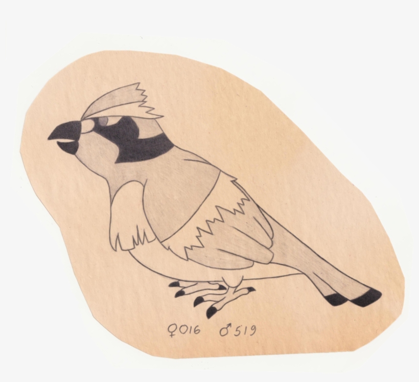 Clip Art Free Library The Pokemon Ornithologist Pidgey - Drawing ...