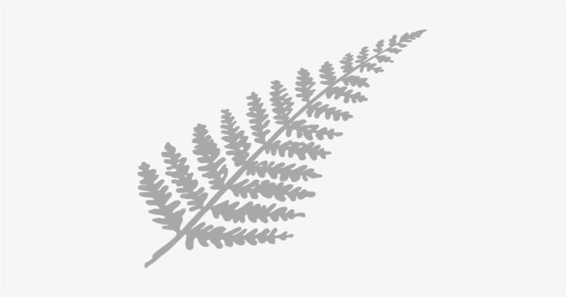 Silver Fern Gallery - 423x350 PNG Download - PNGkit