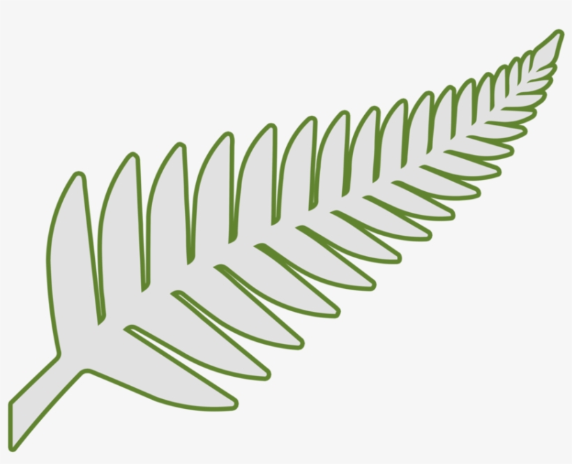 New Zealand Leaf Transparent - 1101x725 PNG Download - PNGkit
