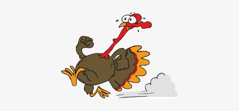 Running Turkey - 400x303 PNG Download - PNGkit