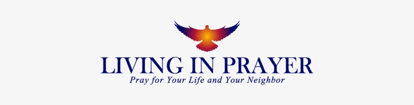 Rm Viagem - Graphic Design - 500x300 PNG Download - PNGkit