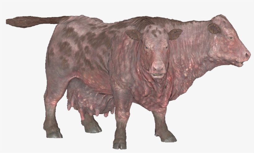 Brahmin - Brahmin Fallout - 1200x748 PNG Download - PNGkit