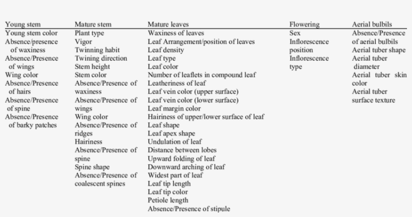 Yam Morphological Descriptors At Different Growth Stages - Yam ...