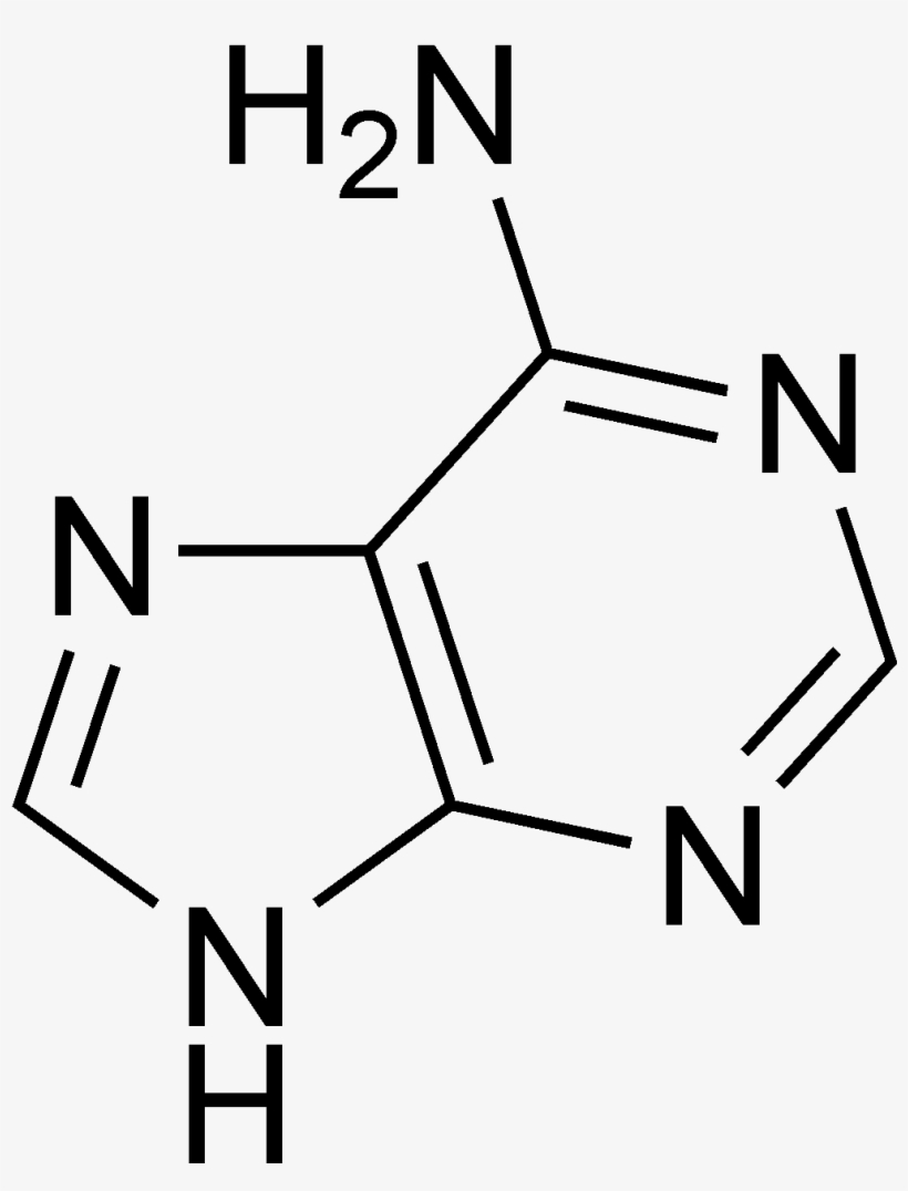 Download Transparent Adenine Chemical Structure - PNGkit