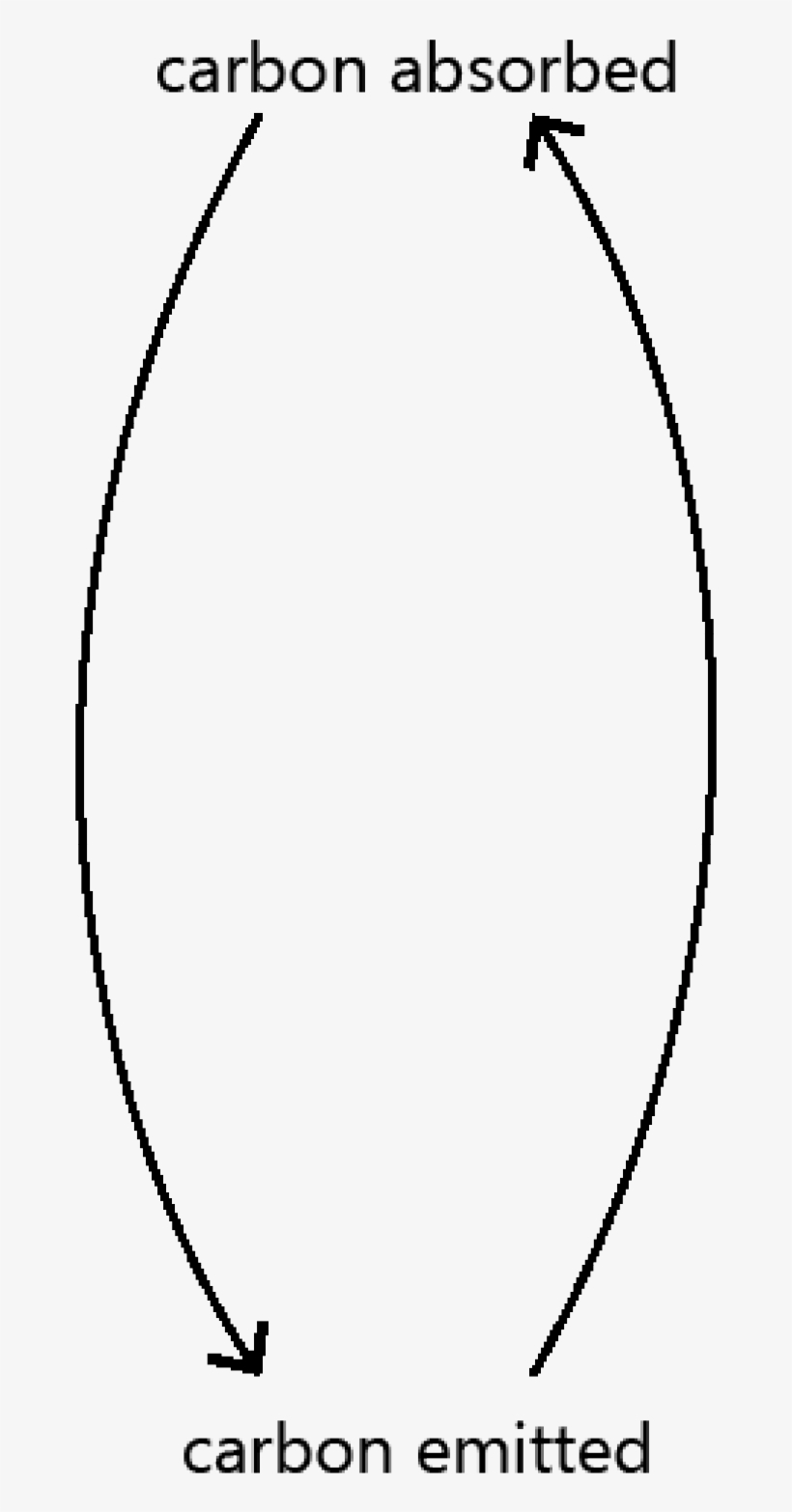 Cee-thumbnail - Thumbnail - 754x1657 PNG Download - PNGkit