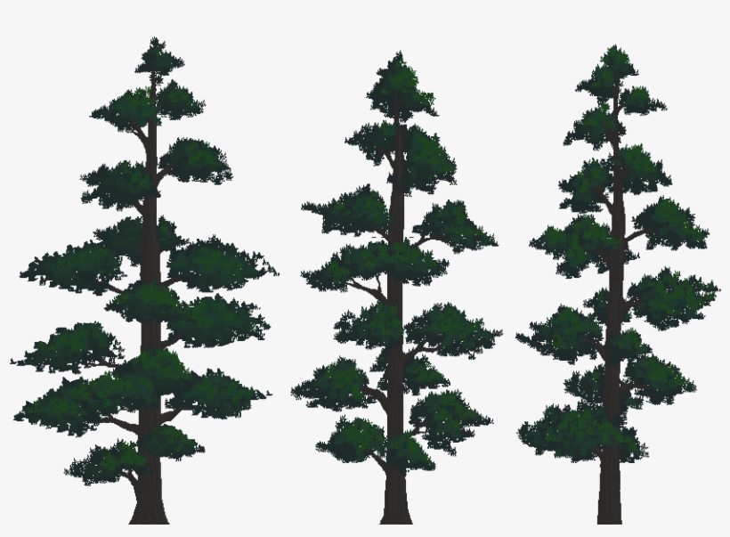 Trees - Opengameart.org - 863x640 PNG Download - PNGkit