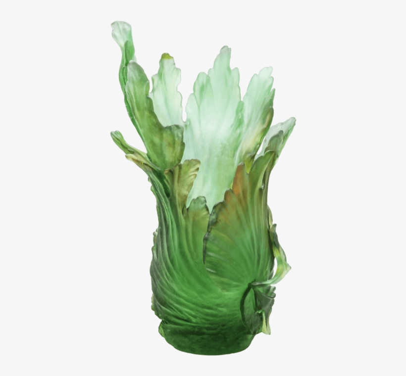 Borneo Emilio Robba Collection - Daum Magnum Borneo - 490x735 PNG ...